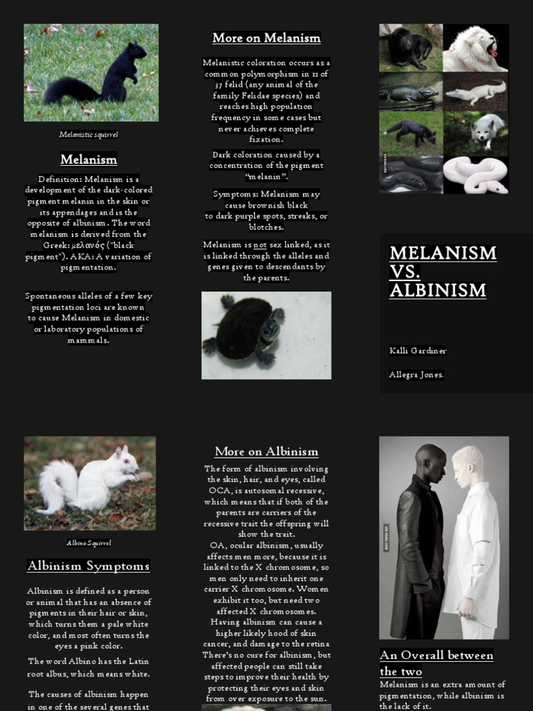Melanism Vs Albinism | Download Free PDF | Genetics | Biology