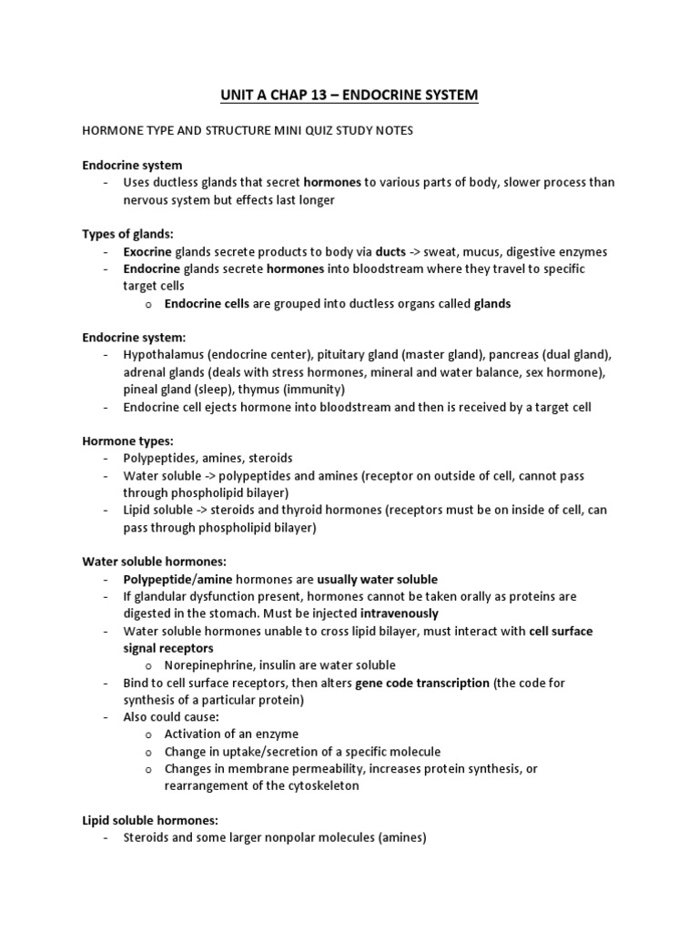 Chapter 13 Endocrine System Notes | PDF | Adrenal Gland | Hormone