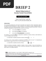 Manual BRIEF 2 | PDF
