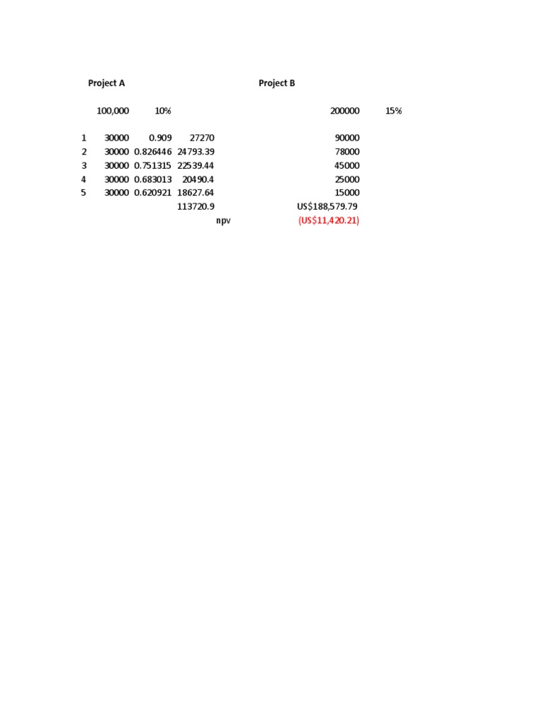 NPV Calculation With Excel | PDF
