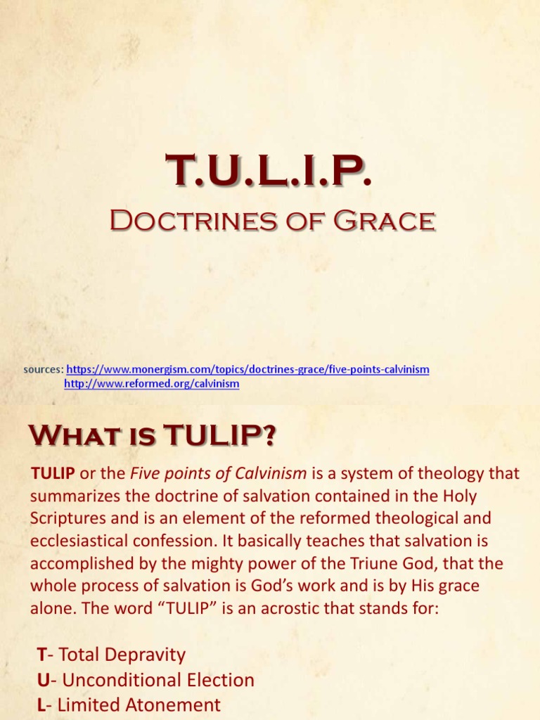 TULIP Doctrines of Grace | PDF | Perseverance Of The Saints | Calvinism