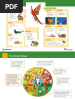 WALC 8 Word Findingml | PDF