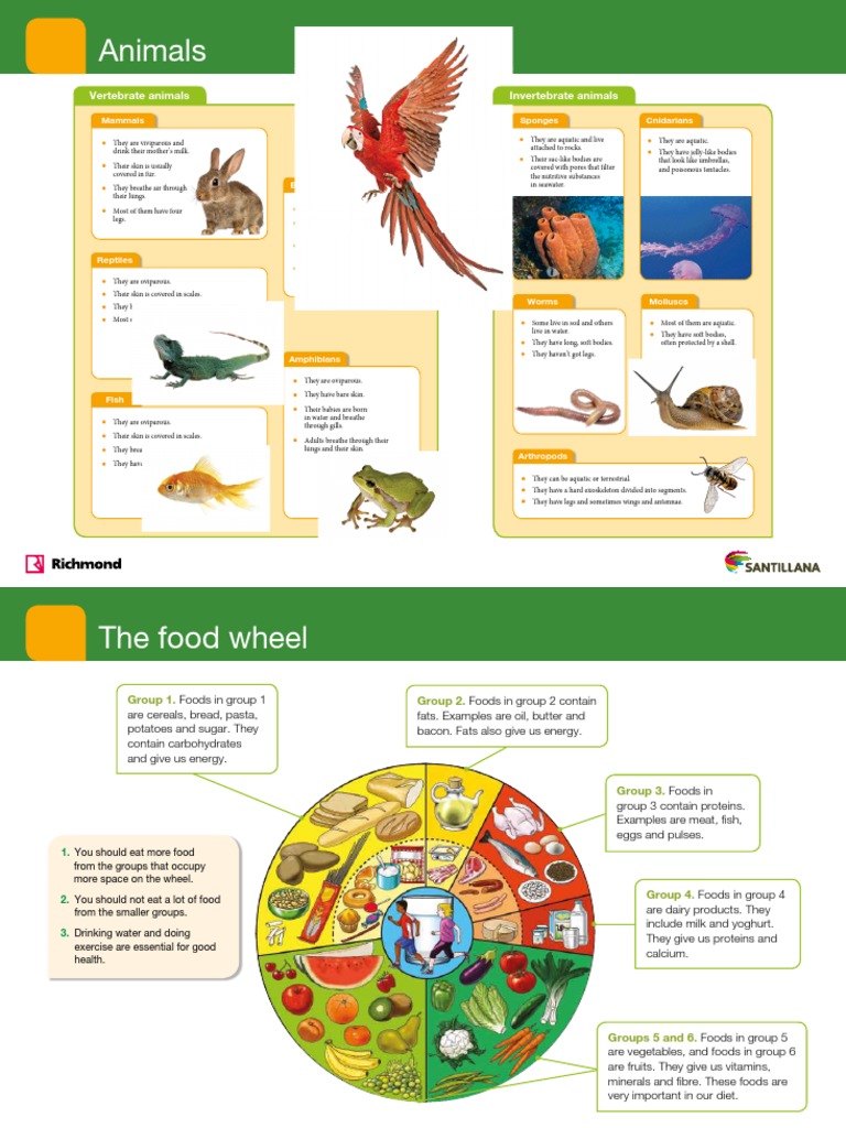3 Natural Science Poster | PDF | Plants | Fruit