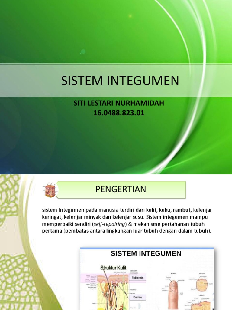 Panduan Sistem Integumen | PDF