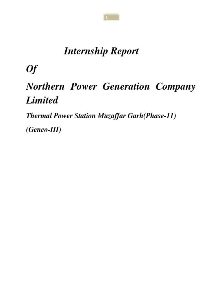Internship Report of Northern Power Generation Company Limited | PDF ...