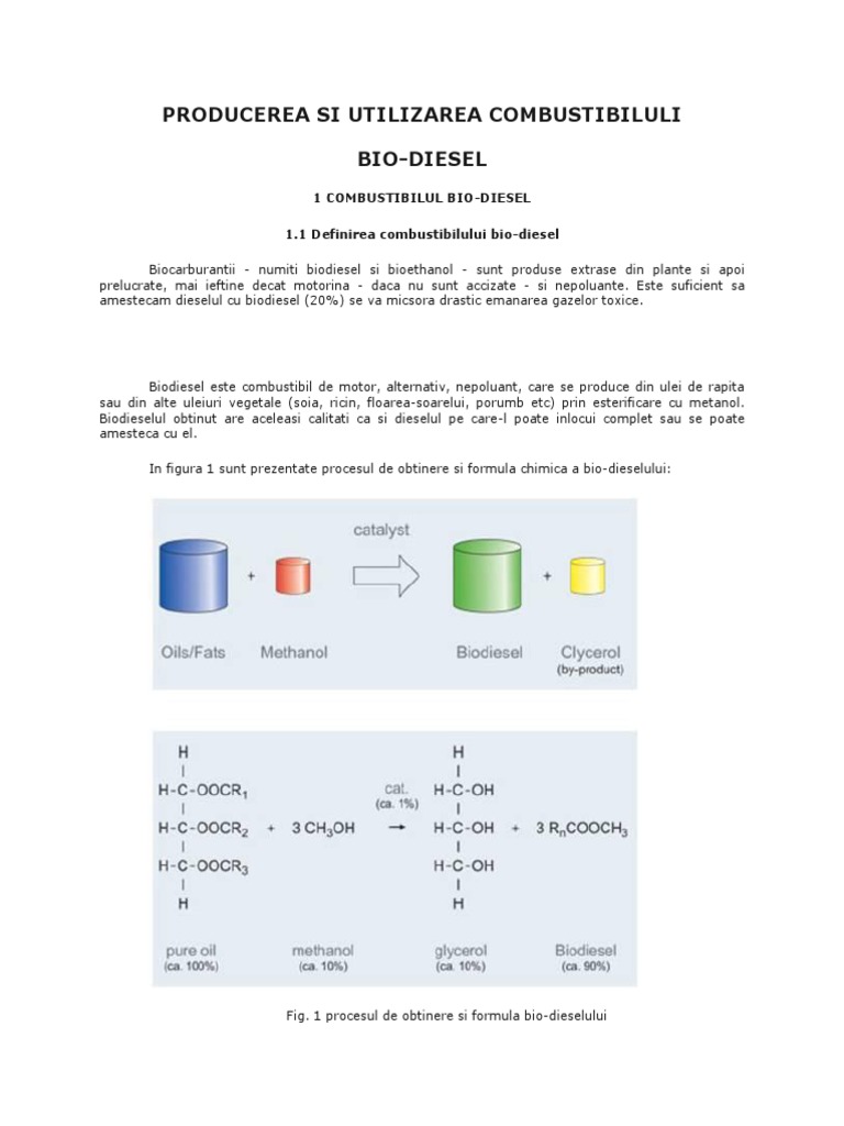 Producere Biodiesel | PDF