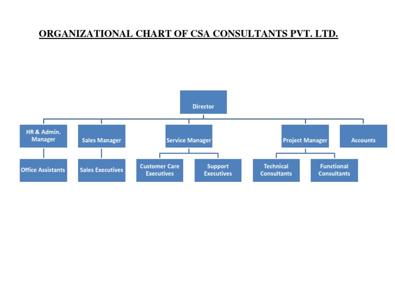 Oraganization Chart of CSA | PDF