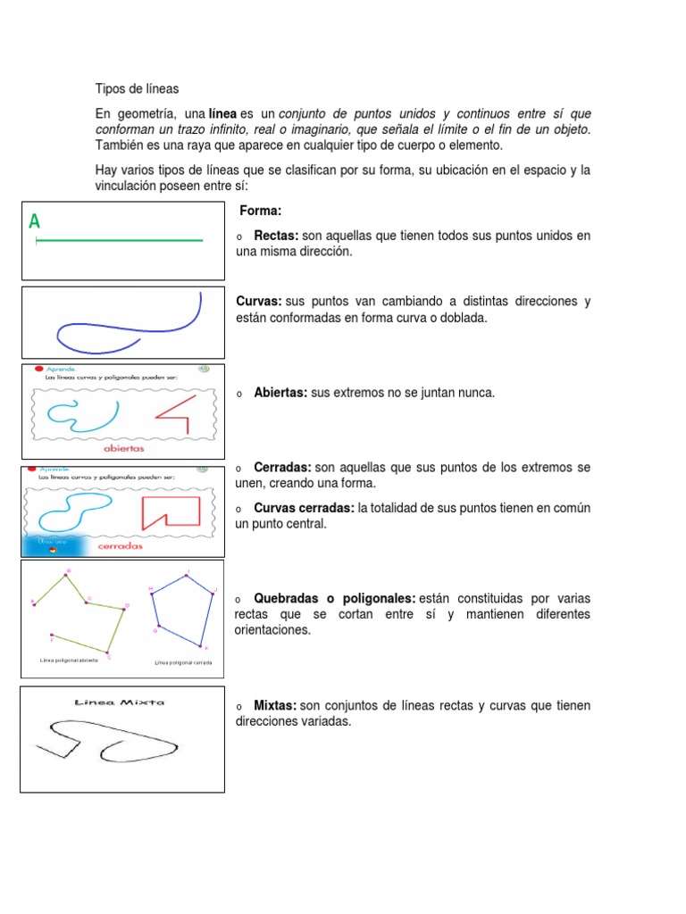 Tipos de Líneas | PDF | Curva | Conjunto (Matemáticas)