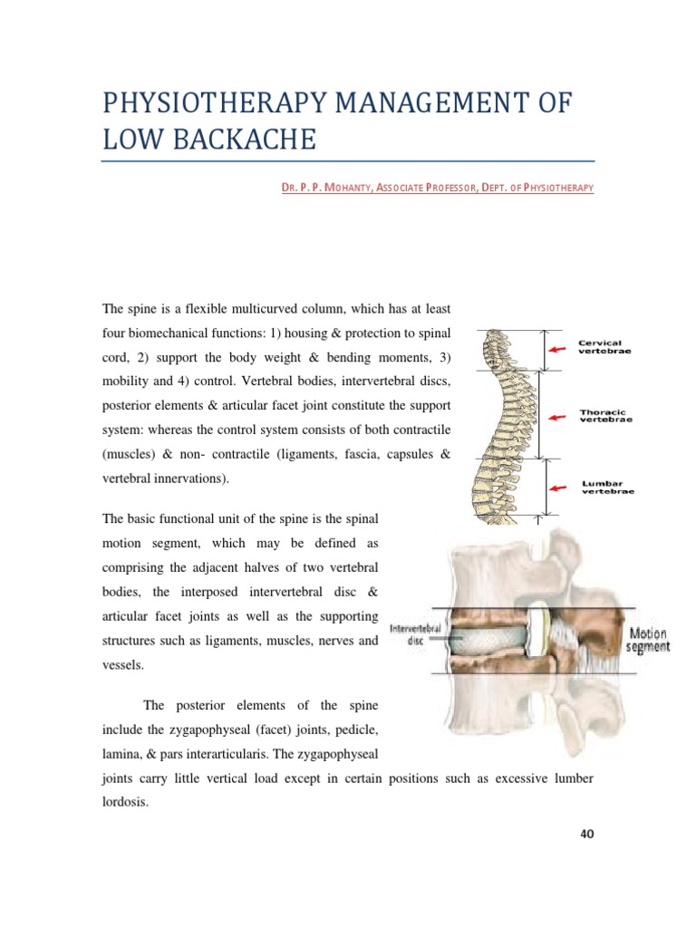 7.PT Management of LBA | PDF | Vertebral Column | Vertebra