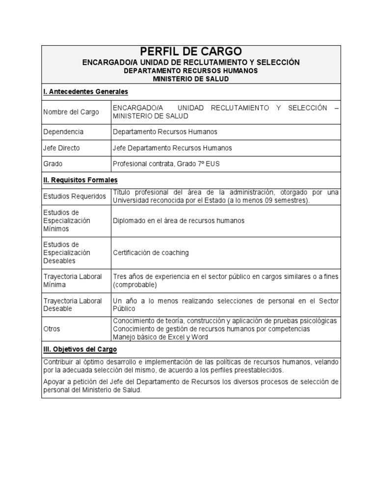 Perfil de Cargo | PDF | Gestión de recursos humanos | Business