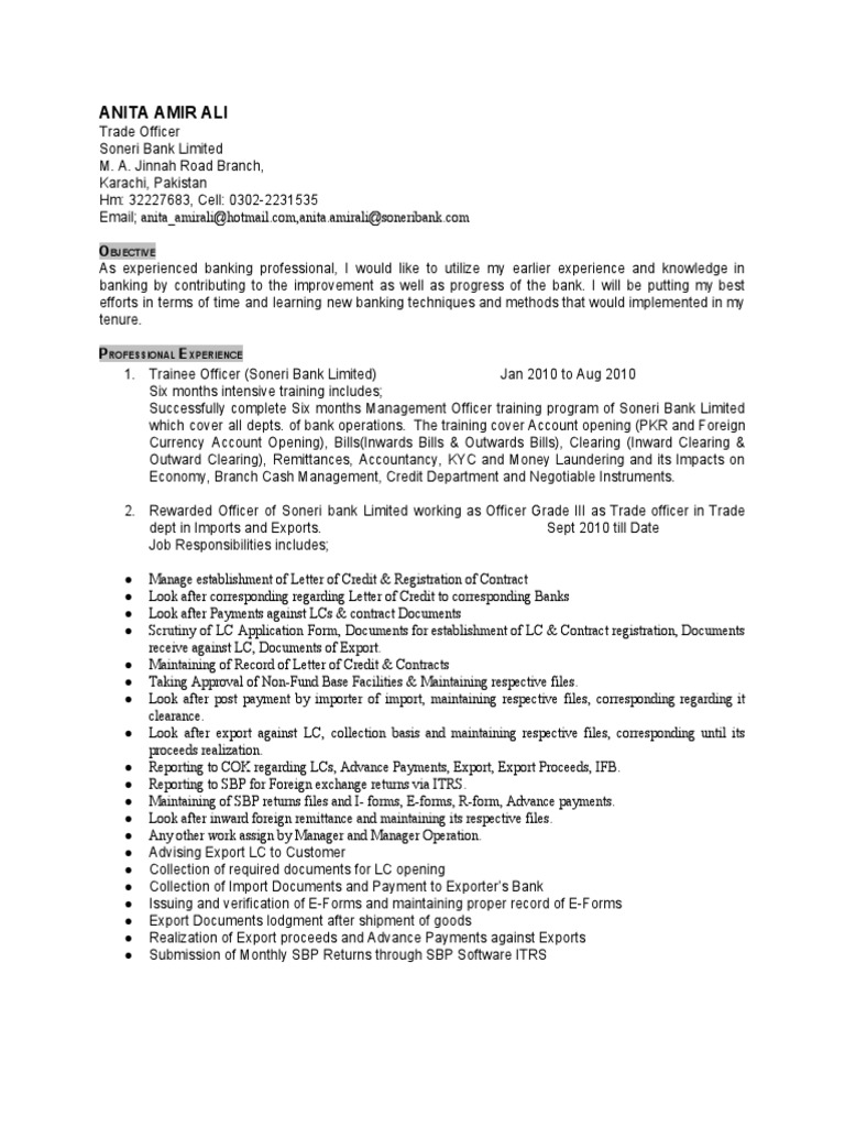Cv-Anita Amir Ali | PDF | Letter Of Credit | Banks