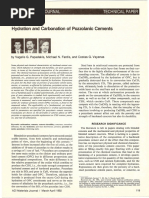 Investigating Iron Tablets Composition | PDF | Magnesium | Iron