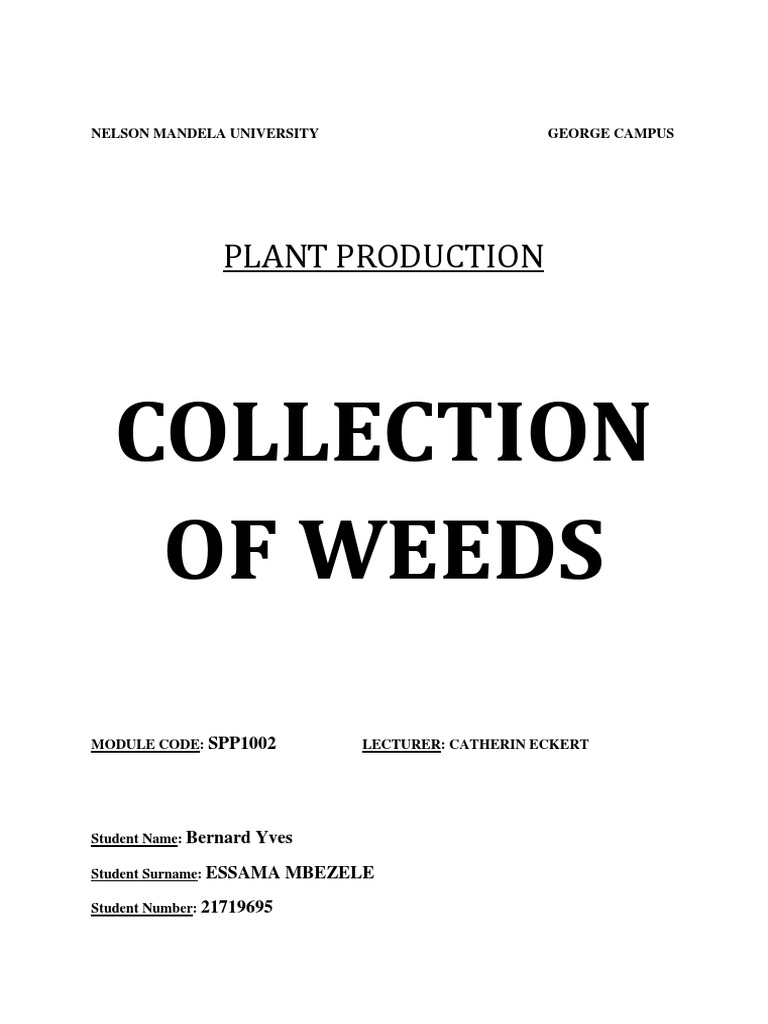 Plant - Weed Collection | PDF | Weed | Organic Farming