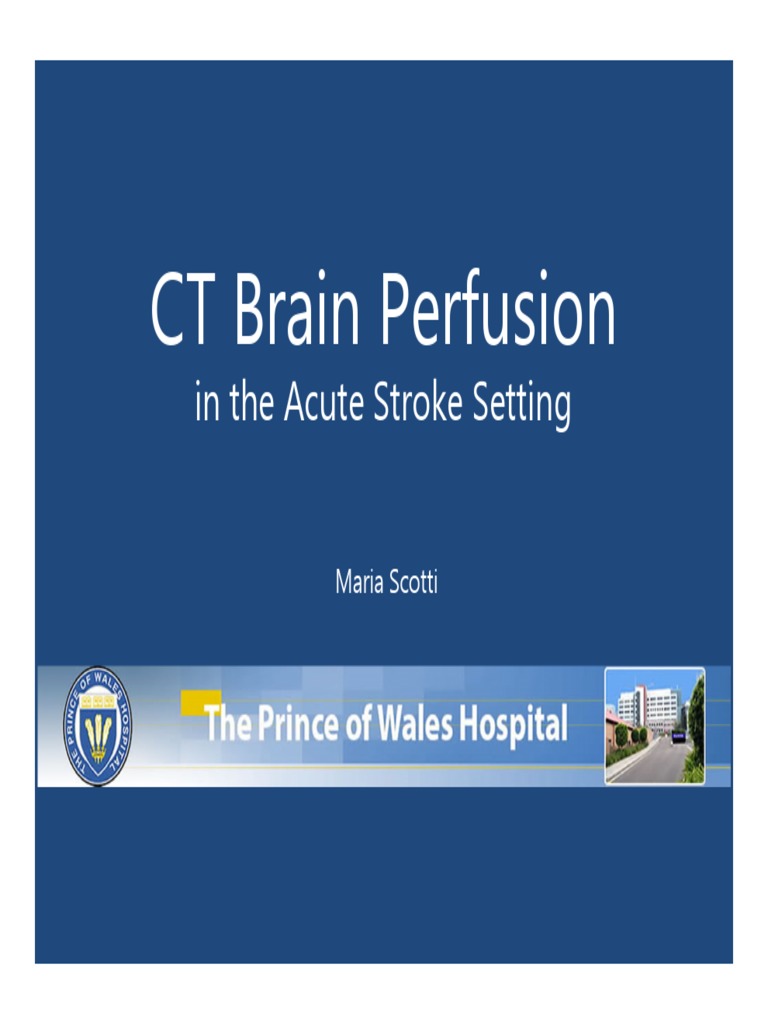 CT Brain Perfusion in The Acute Stroke Setting Maria Scotti | PDF ...
