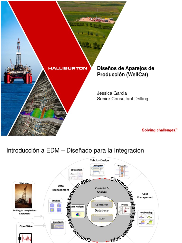 WellCat Presentacion | PDF | Perforar | Software