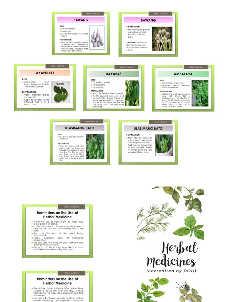 Brochure For Herbal Plants | PDF