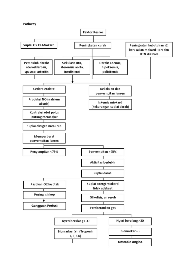 Pathway Nstemi