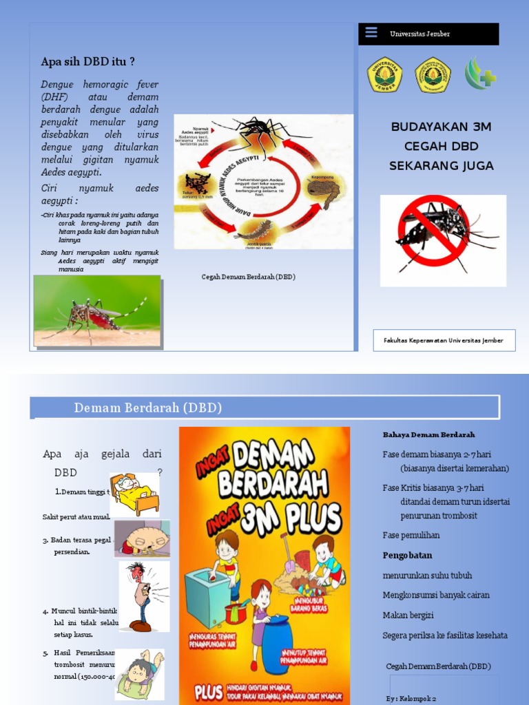 Leaflet DHF | PDF