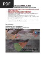 Healer Class Guide for Thorium Mod | PDF