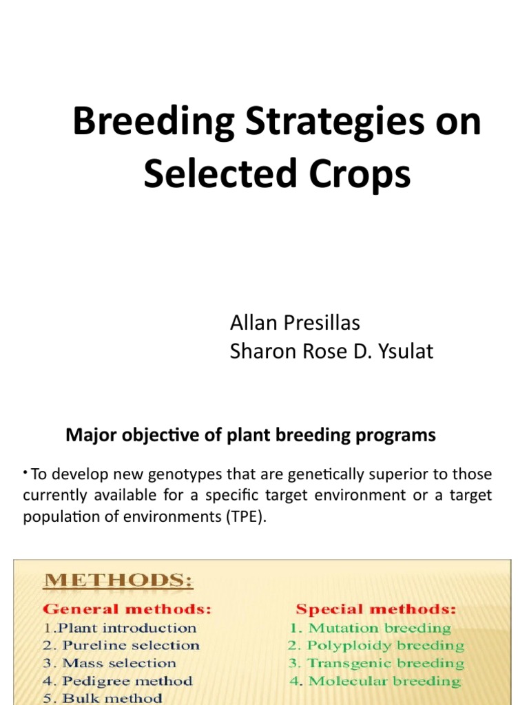 7. Breeding strategies (ppt) (1).pptx | Plant Breeding | Dominance ...