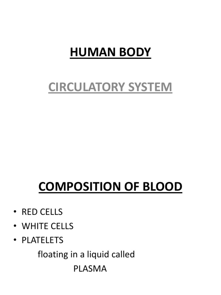 Human Body: Circulatory System | PDF | Lymphatic System | Blood