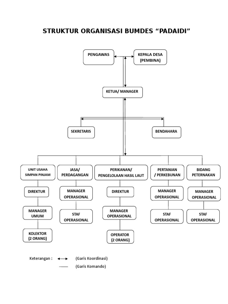 Struktur Organisasi Bumdes | PDF