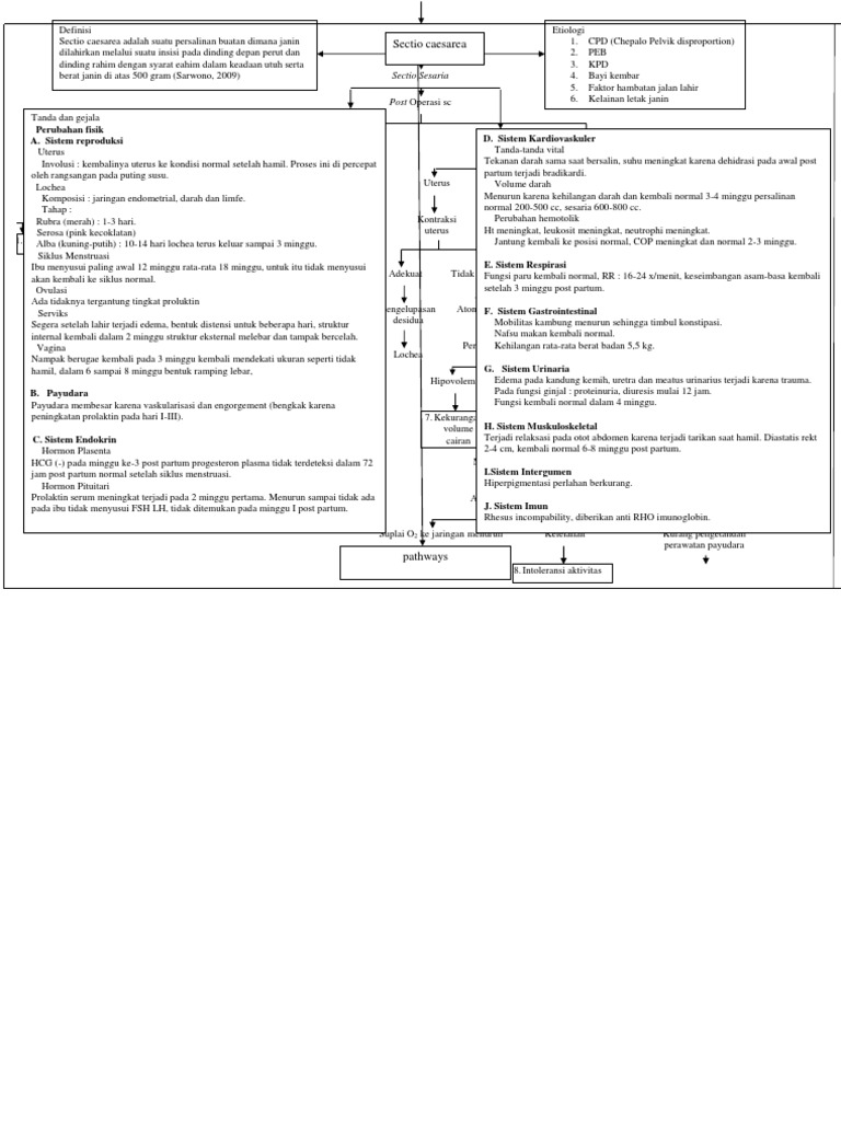 Woc Post Op SC | PDF