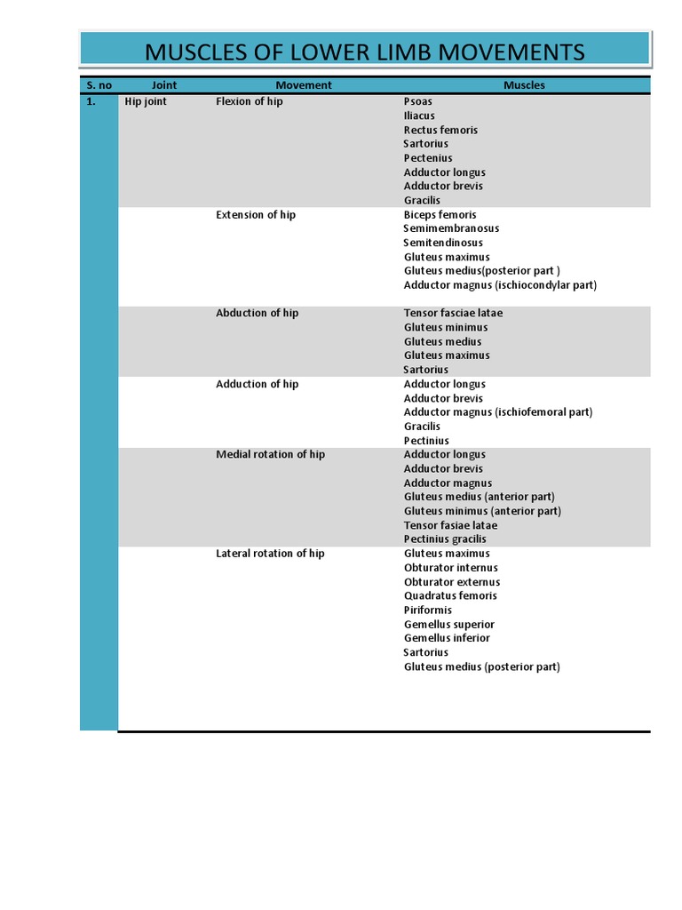 Muscles of Lower Limb Movements: S. No Joint Movement Muscles 1 | PDF