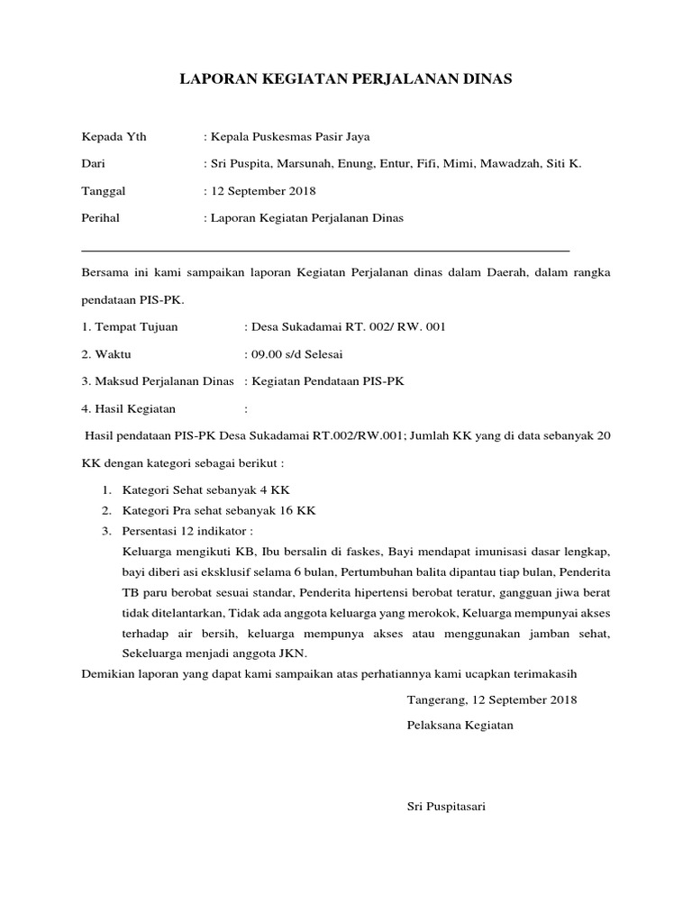 Laporan Kegiatan Perjalanan Dinas PIS-PK | PDF