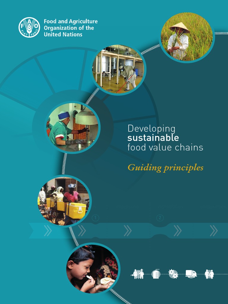 FAO. 2014. Developing Sustainable Food Value Chains - Guiding ...