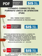 Nuevo Formato HIS | PDF | Medicina | Cuidado de la salud
