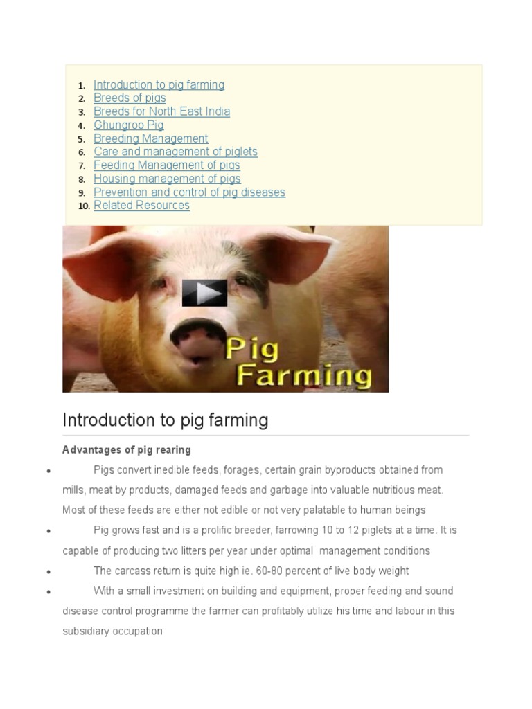 Introduction To Pig Farming | PDF | Domestic Pig | Wild Boar