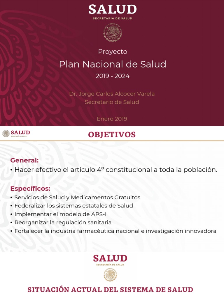 PROYECTO Plan Nacional de Salud 2019 - 2024 | PDF | Gobierno | Esfera pública