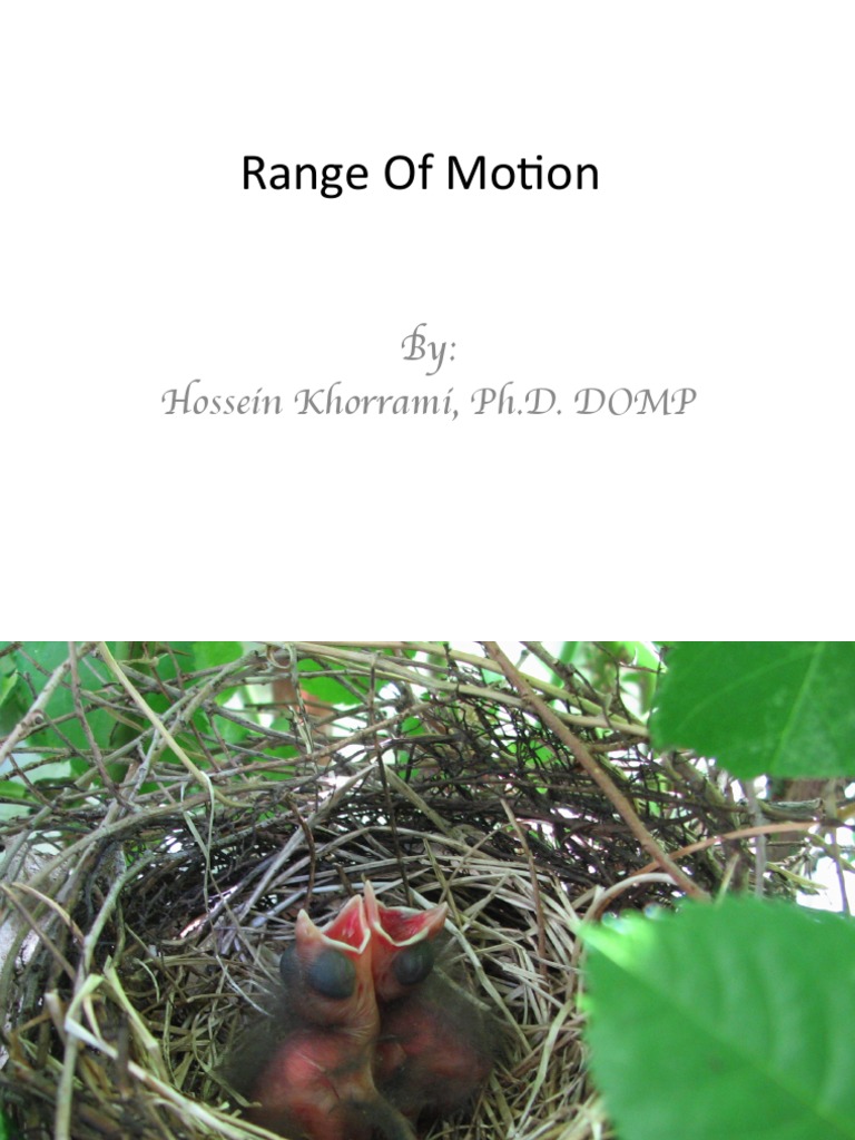 Range of Motion | PDF | Anatomical Terms Of Motion | Dance Science