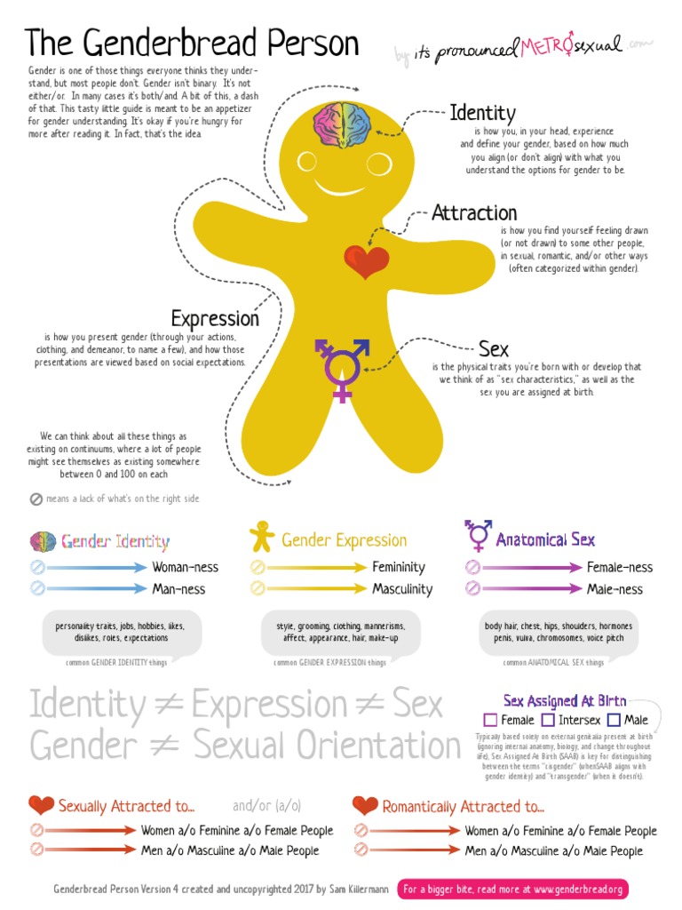 Genderbread Person v4 POSTER 18x24 | PDF | Gender Identity | Gender