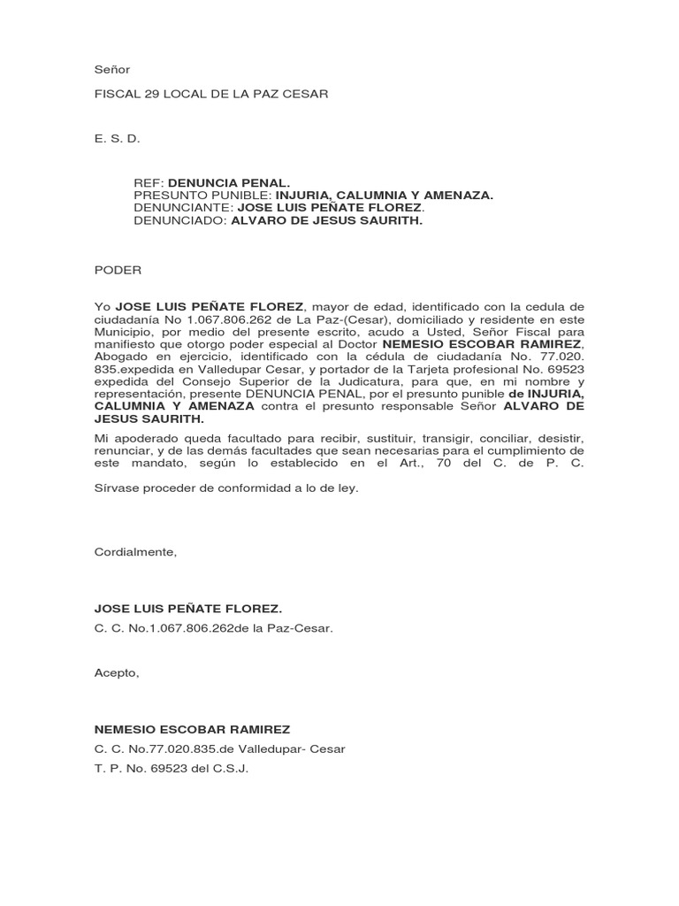 Minuta de Poder Penal | PDF