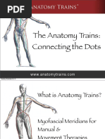 Anatomy Trains Charts | PDF