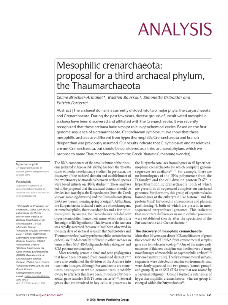 Analysis: Mesophilic Crenarchaeota: Proposal For A Third Archaeal ...