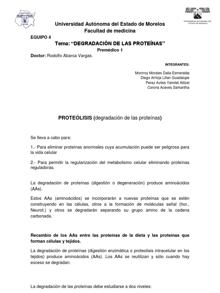 Degradación de Proteínas: Procesos y Enzimas | PDF | Proteólisis ...
