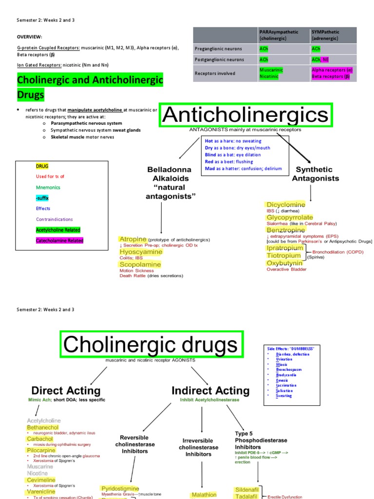 SNS and PNS Drugs (Cholinergics and Adrenergics) | PDF | Acetylcholine ...