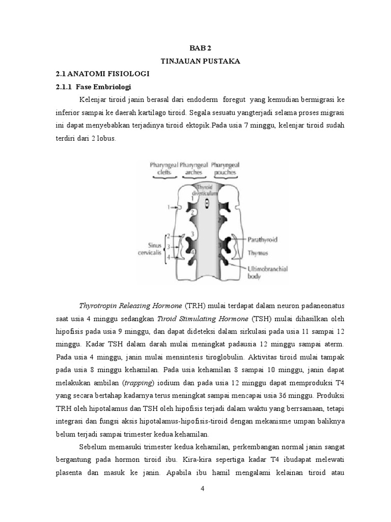 Askep KRETINISME HIPOTIROID KONGENITAL | PDF