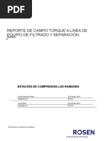 Formato Reporte de Torque | PDF | Tornillo | Conocimiento procedimental