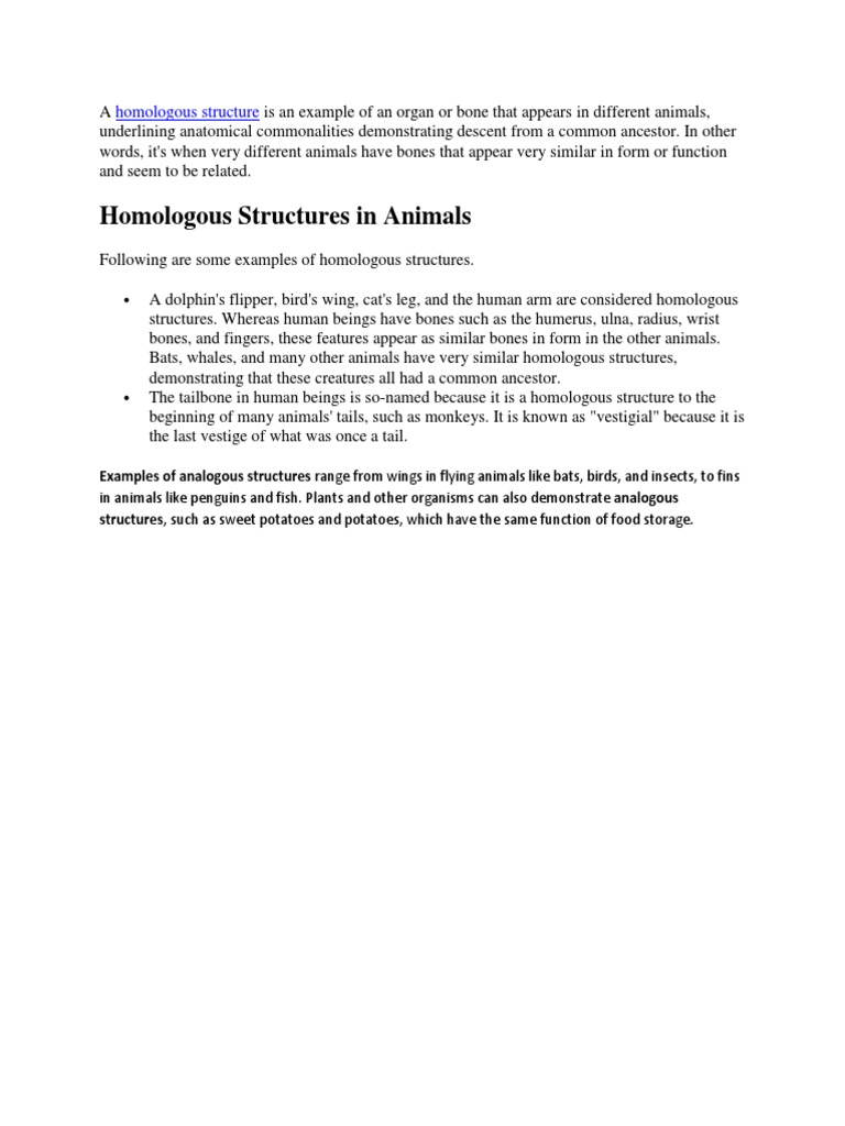 Homologous Structures in Animals | PDF