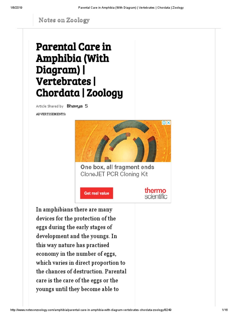 Parental Care in Amphibia (With Diagram) - Vertebrates - Chordata ...