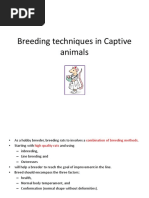 Hisex Brown Layer Management Guide | PDF | Selective Breeding | Chicken