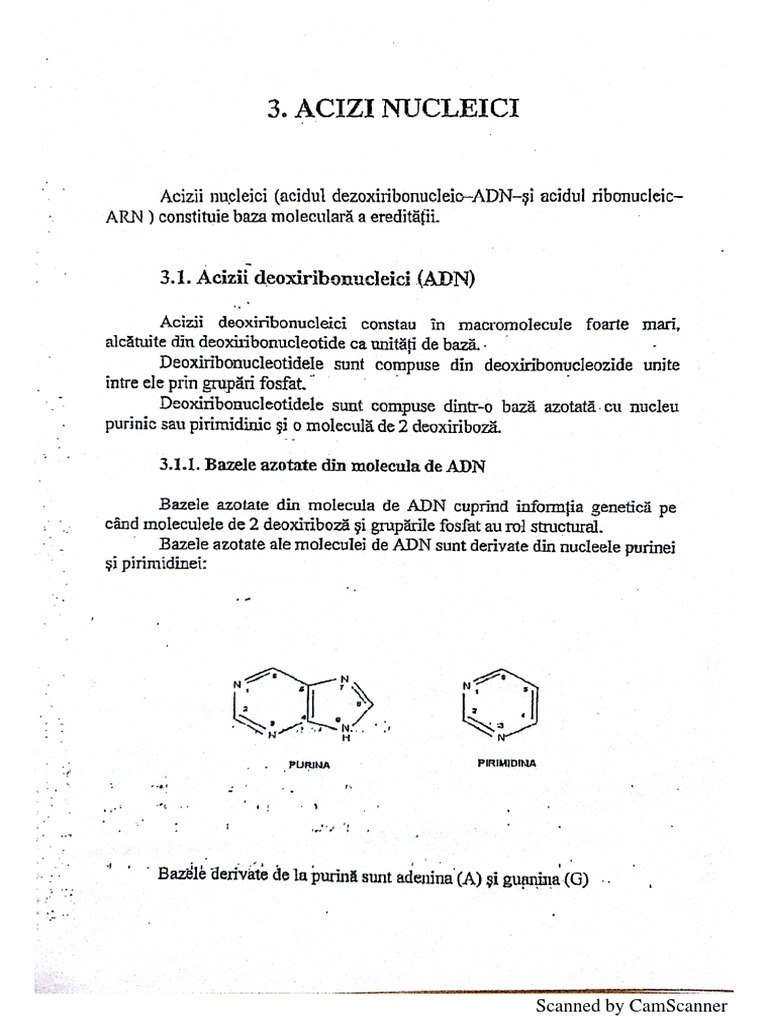 Acizii Nucleici | PDF