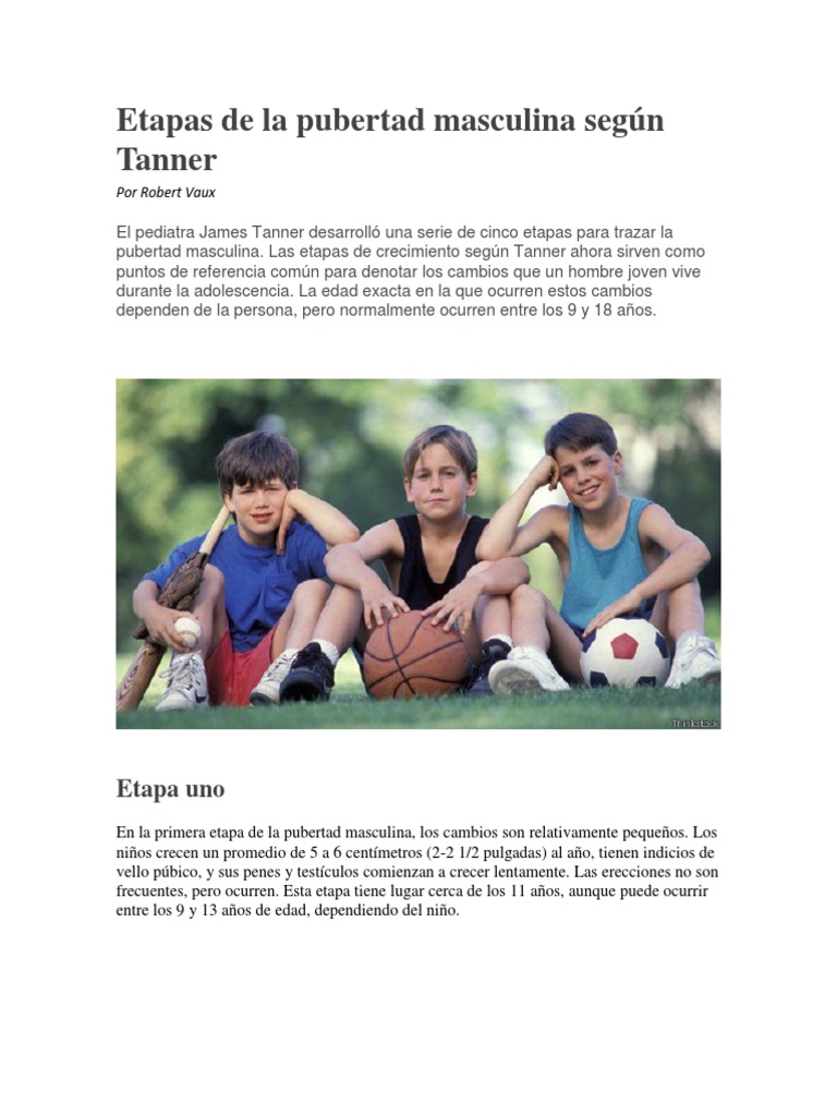 Etapas de La Pubertad Masculina Según Tanner | PDF | Pubertad ...
