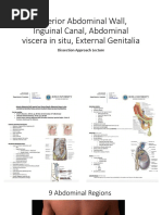 Anatomy of The Cervix, Squamocolumnar Junction, Metaplastic Change and ...