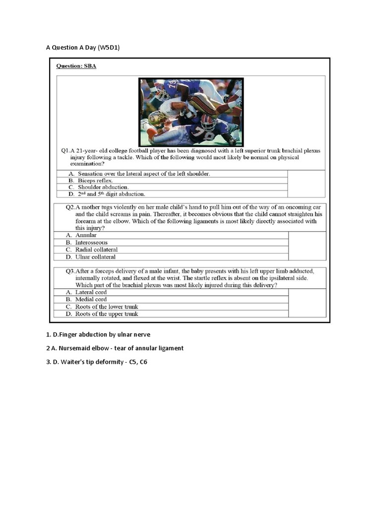 Ortho Exercise (W5D1) | PDF