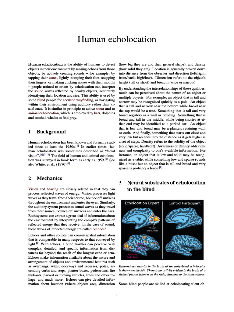 Human Echolocation: 1 Background | PDF | Senses | Hearing